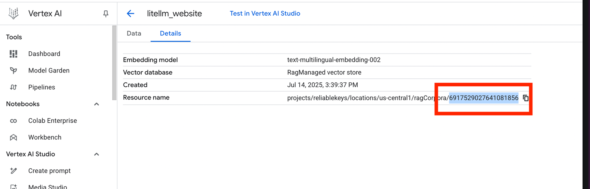 Using Vector Stores (Knowledge Bases) | liteLLM