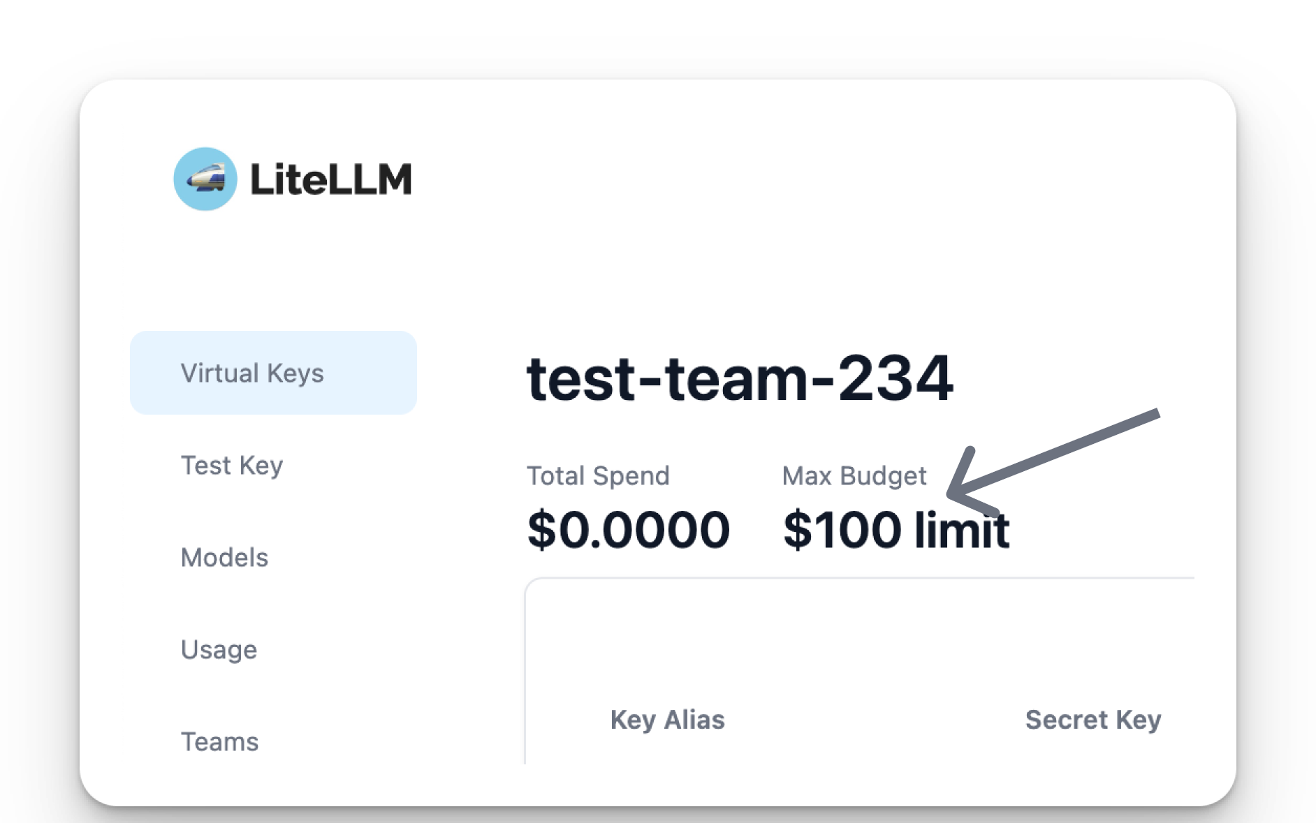 Internal User Self-Serve | liteLLM
