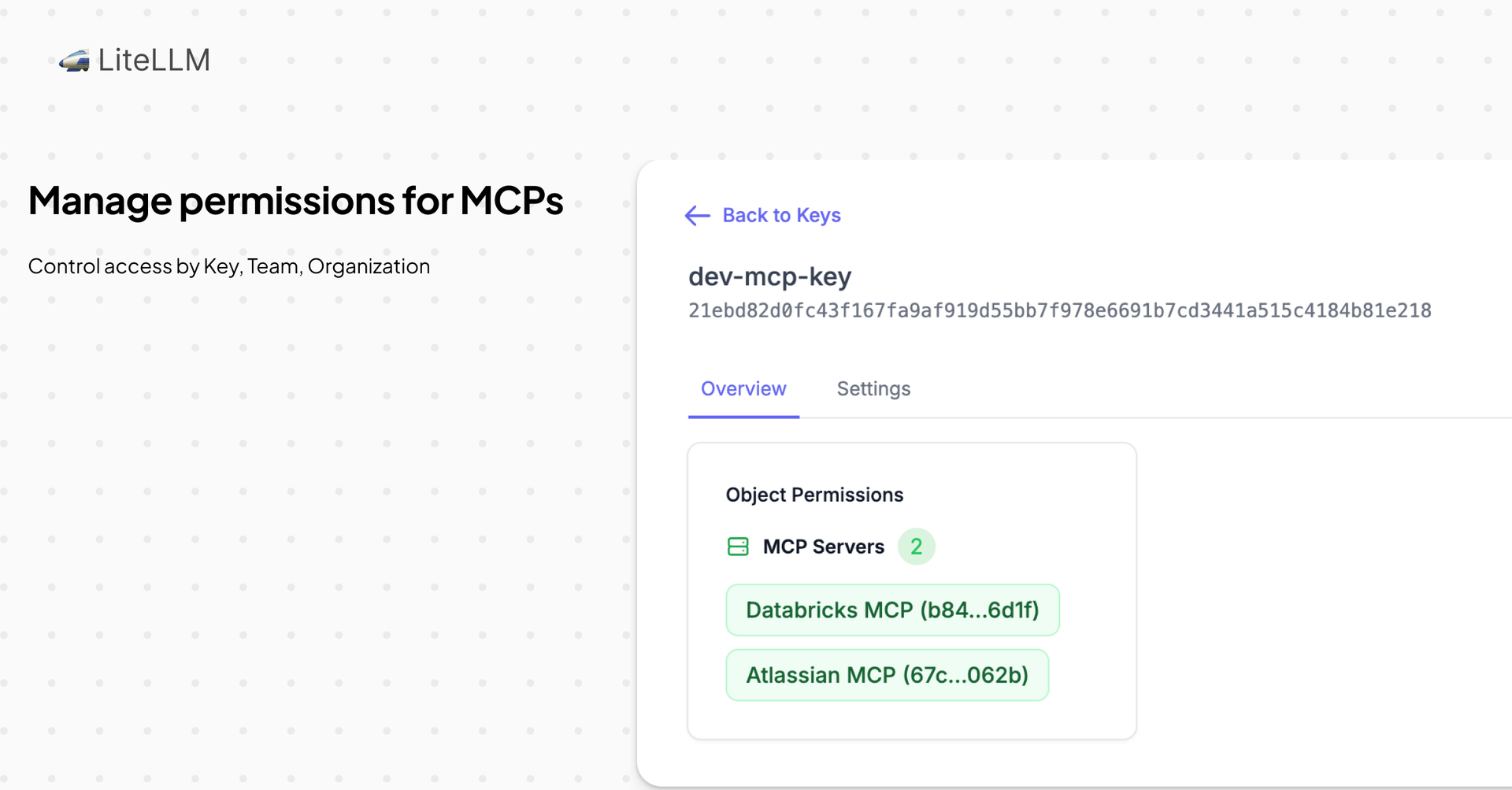 v1.72.6-stable - MCP Gateway Permission Management | liteLLM