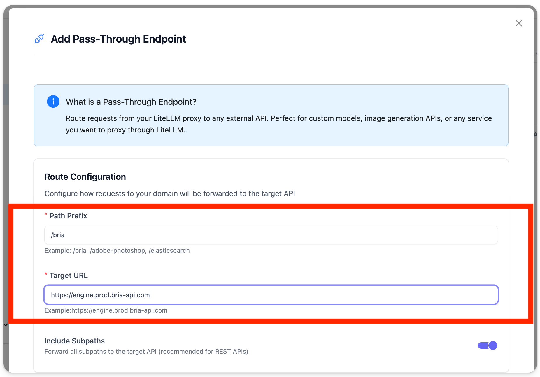 Create Pass Through Endpoints | liteLLM