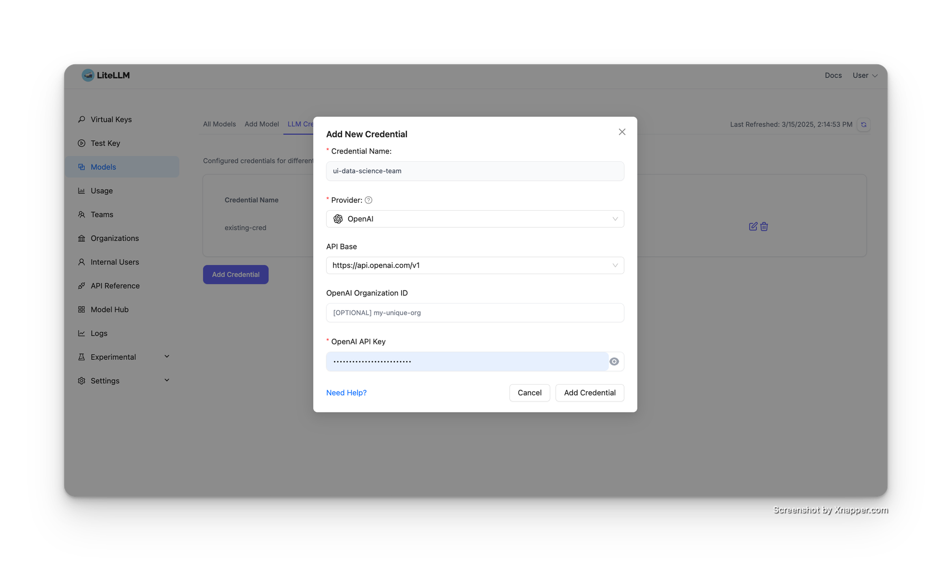 Adding LLM Credentials | liteLLM